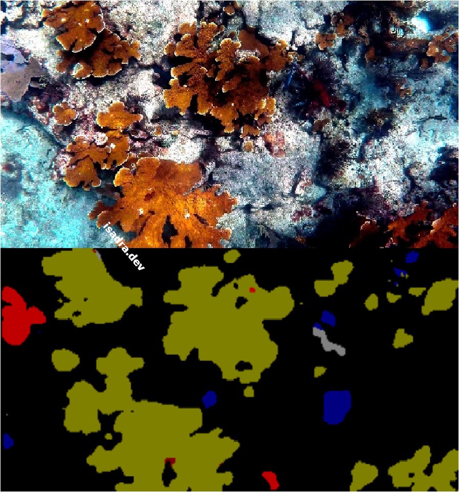 Coral Image Segmentation Sadra Naddaf